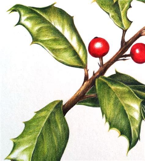 작가되기 8 색연필 기법 3 남겨놓고 그리기 Colored pencil techniques Christmas