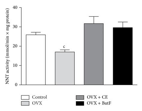 Mitochondrial Ros Generation And Ros Scavenger Systems The Liver