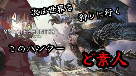 【参加型】【モンスターハンターワールド】steam版 彷徨う初心者【vtuber 】 Youtube