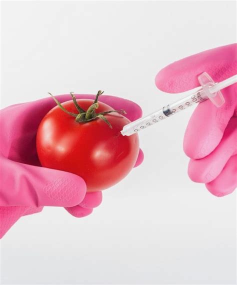 Allergens And Gmo Testing Services Tank Oil Group