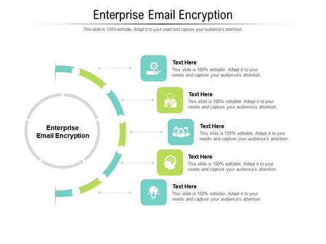 Enterprise Email Encryption Ppt Powerpoint Presentation Ideas Icons Cpb