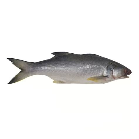 午仔魚 37826｜costco好市多必買推薦