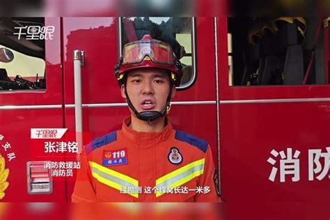 重庆房屋空置一年厨房惊现巨型马蜂窝消防员上门摘除震惊了