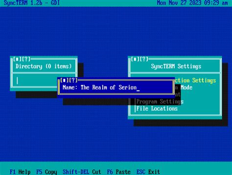 The Realm Of Serion BBS SyncTERM RIP Setup Tutorial