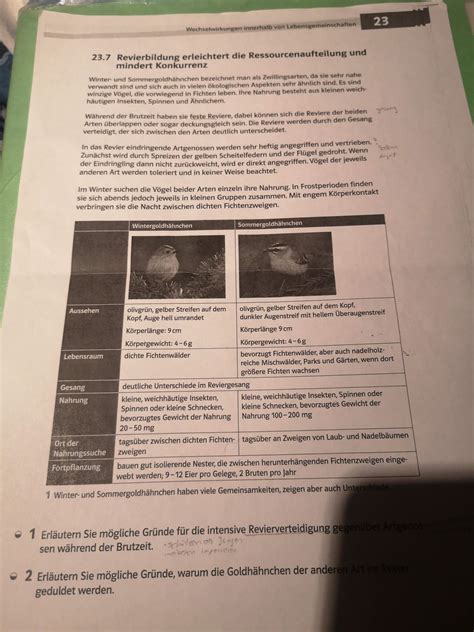 Biologie Obestufe Schule Unterricht Oberstufe