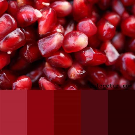 Pomegranate Seeds Color Palette Swatches