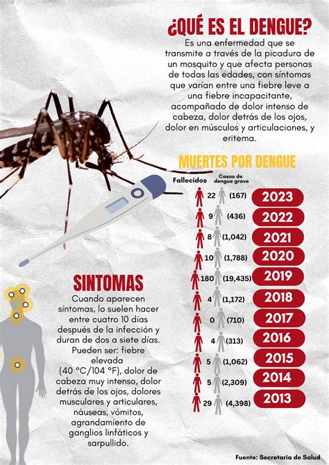 Muertes Por Dengue Proceso Digital