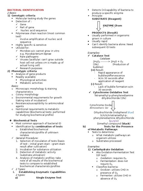 2 Basis Principle Bacterial Identification Pdf Fermentation