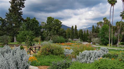 Los Angeles County Arboretum And Botanic Garden Purpose Tourist Goals
