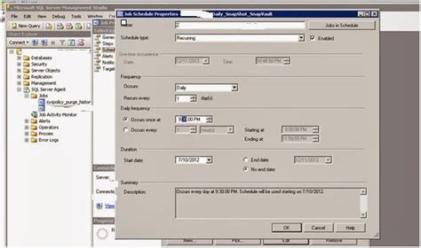Tech Eye Tech How To Change DB Instance Job Schedule For Netapp Snapmanager For SQL Server Busy