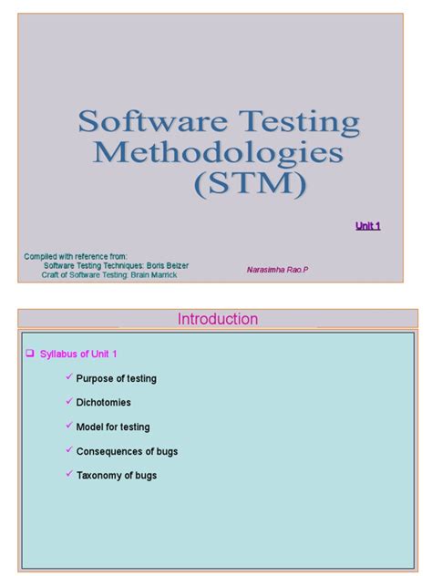 stm unit 11 pdf software bug parameter computer programming