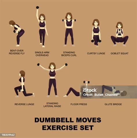 다양한 피트니스 운동 아령 이동 만화 체육관 세트 일러스트 덤벨에 대한 스톡 벡터 아트 및 기타 이미지 덤벨 둥글게 말려진 런지 Istock