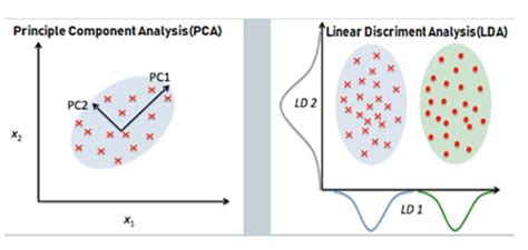 Machine Learning Dimensionality Reduction I2tutorials