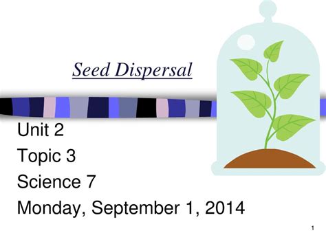 Ppt Seed Dispersal Powerpoint Presentation Free Download Id3805422