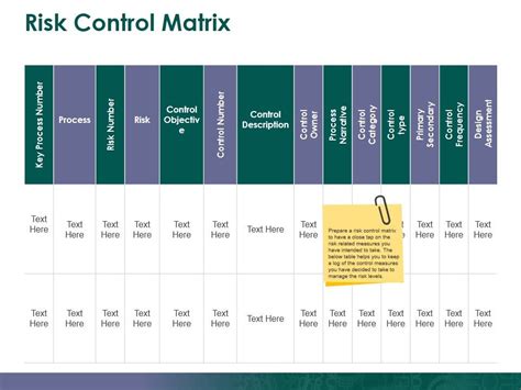 Risk Control Matrix Ppt Powerpoint Presentation Show Design Inspiration