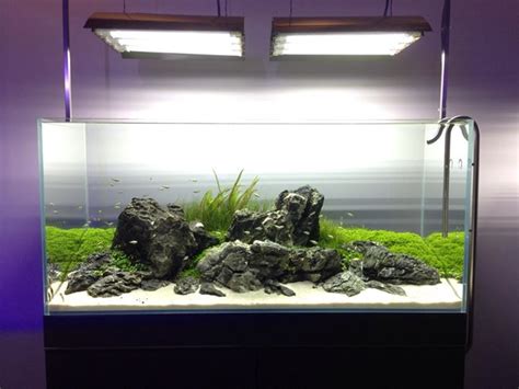 Ts L Tu N Aquarium