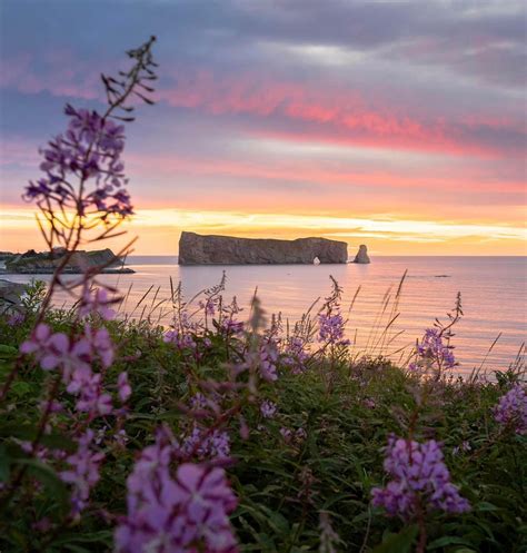 Patrice Labbé Photographie