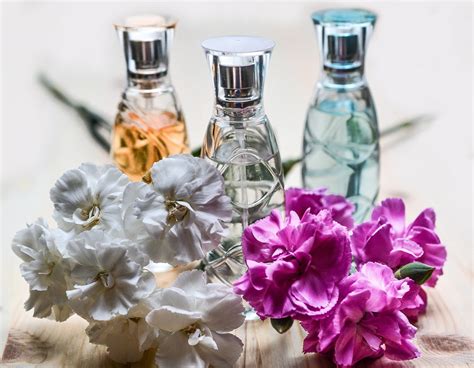 Elige El Perfume Que Mejor Se Adapta A Tu Cabello La Central Del Perfume