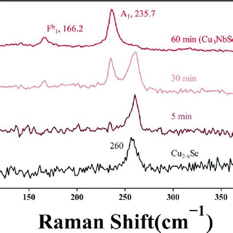 Raman Spectra Of Reaction Products Obtained Upon Cu Injection After 5 Download Scientific
