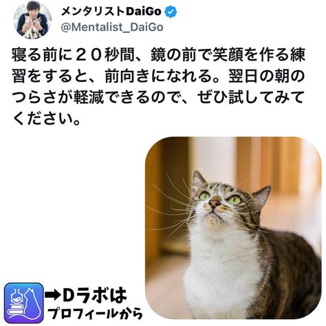 メンタリストdaigoさんのインスタグラム写真 メンタリストdaigoinstagram「🐈本日の名言📚 プロフィールからdラボもみて