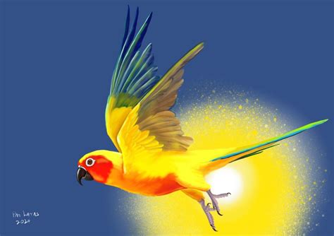 Sun Parakeet Artists For Conservation