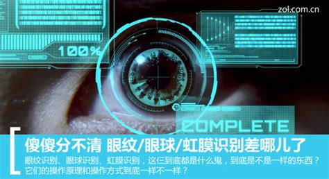 虹膜识别技术 虹膜识别图片 虹膜识别健康图 第9页 大山谷图库