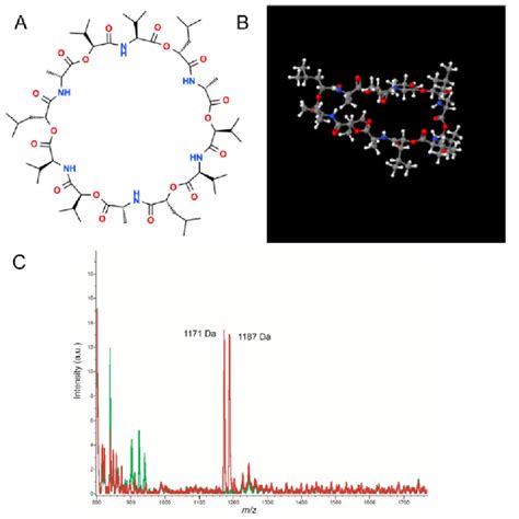 The 2d A And 3d B Chemical Structure Of Cereulide From Chemspider Download Scientific