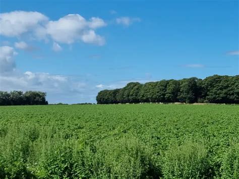 2023 Best City Walk Trails In Bootle Alltrails
