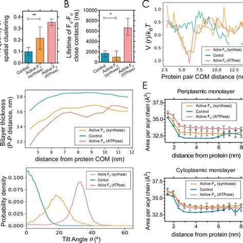 A Structure Of Atp Synthase From Escherichia Coli Left And Bos Download Scientific Diagram