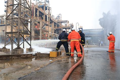 Photo Gallery Details