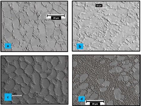 Sem Micrographs Of Sac Solder Joints With Different Ag Weight
