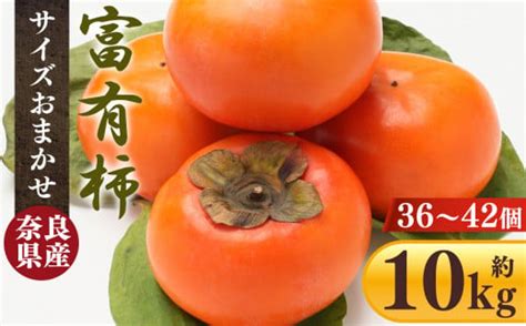 令和7年分 先行予約 】富有柿 10kg 箱 サイズおまかせ（36個～42個） フルーツ くだもの 果物 柿 かき カキ 富有柿 奈良県