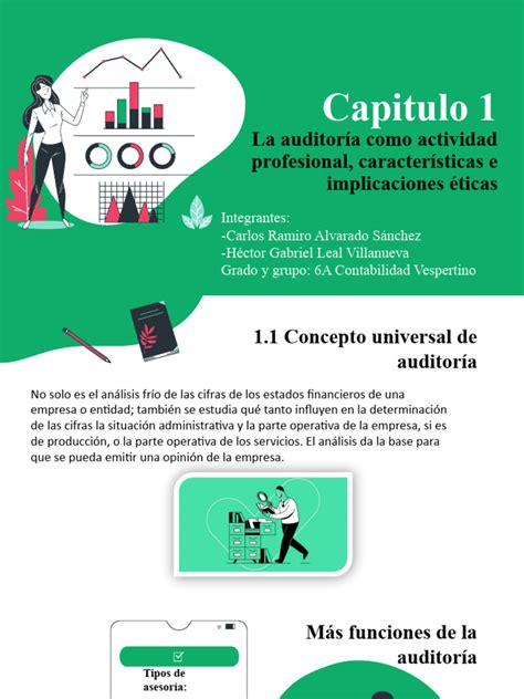 Fundamentos De Auditoria Capitulo 1 Pdf Auditoría