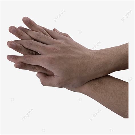 왼쪽 손등에 오른손을 넣고 오른손 왼손 몸짓 Png 일러스트 및 이미지 에 대한 무료 다운로드 Pngtree