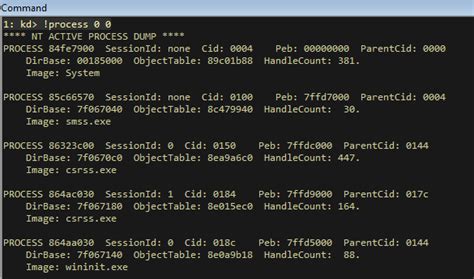 Exploit Development Windows Kernel Exploitation Debugging