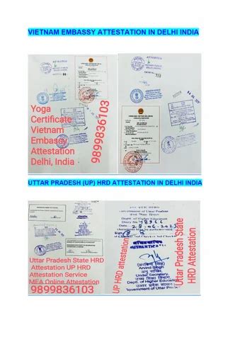 Qatar Embassy Attestation Service At ₹ 6000certificate In New Delhi