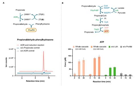 焦耳封面文章新型合成电生物模块助力电力生产ATP论文科学网