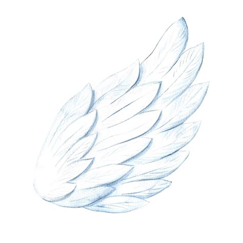 Premium Photo The White Wing Of An Angel A Handdrawn Watercolor Illustration Conceptual Design