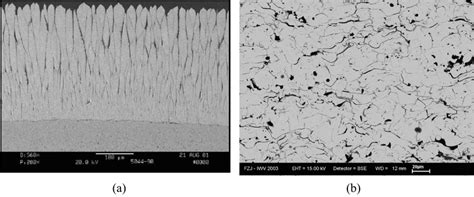 5 Sem Micrographs Of Eb Pvd 446 A And Aps B Coatings Download
