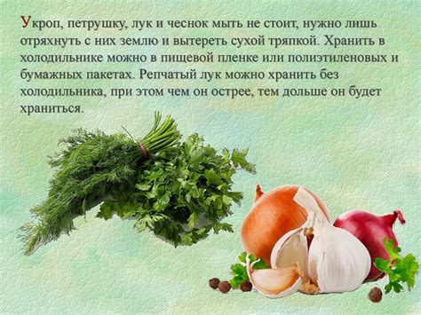 Хранение продуктов - презентация онлайн