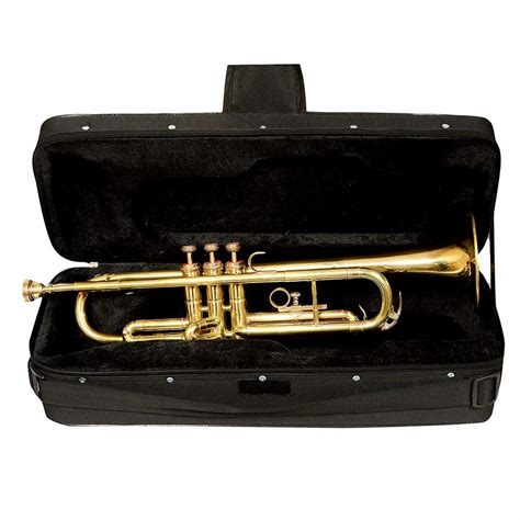 Golden Brass Musical Trumpet Weight Kg At Piece In Meerut ID