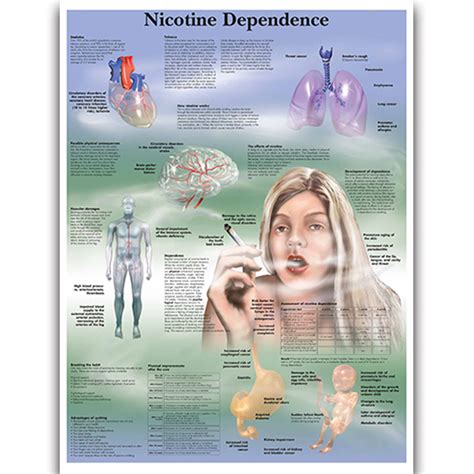 Health Education Chart Nicotine Dependence