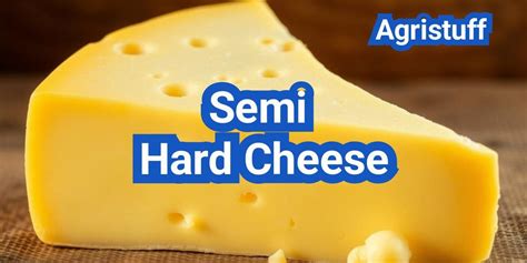 Semi Hard Cheese Meaning Characteristics Making Types List