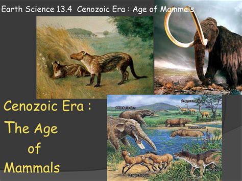 Ppt Earth Science 134 Cenozoic Era Age Of Mammals Powerpoint