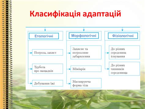 Презентація до уроку Класифікація і властивості адаптацій