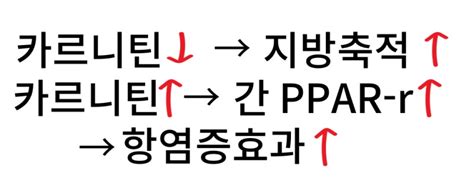 고덱스캡슐 가격 효능효과 용량용법 우루사 레가론 비교 부작용 Feat 동네약사 네이버 블로그