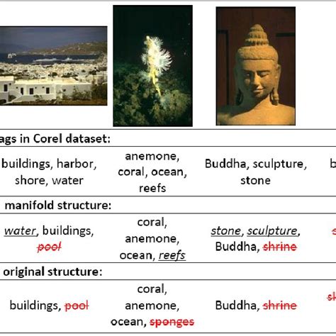 Comparison Of Annotation Results In Manifold And Original Structures