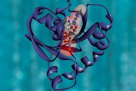 Whats The Difference Between Osdd 1a And Osdd 1b A Distinction