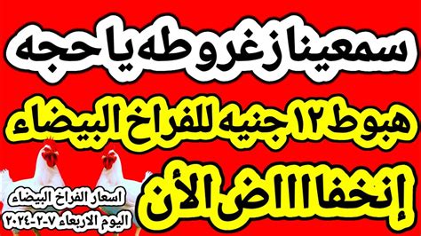 اسعار الفراخ البيضاء اليوم اسعار الدواجن اليوم الاربعاء ٧ ٢ ٢٠٢٤ في مصر