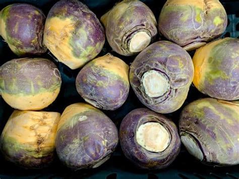 Rutabaga Vs Parsnip Whats The Difference Americas Restaurant